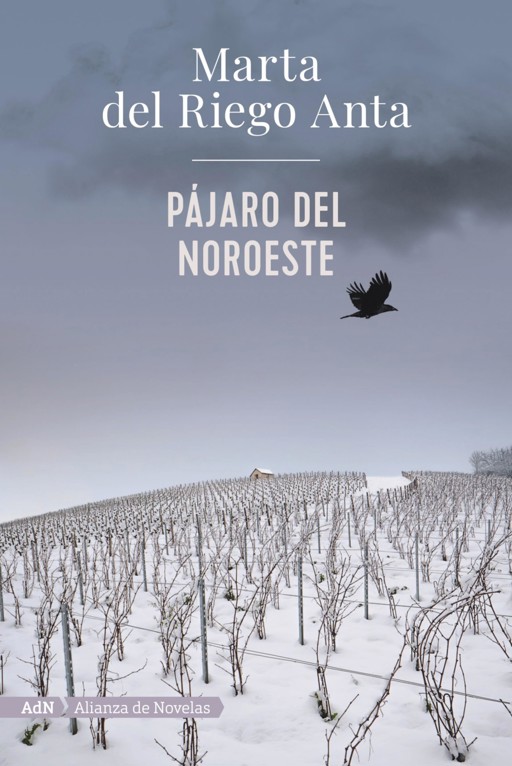 Pájaro del noroeste (AdN) - Marta del Riego Anta - ebook - Legimi online