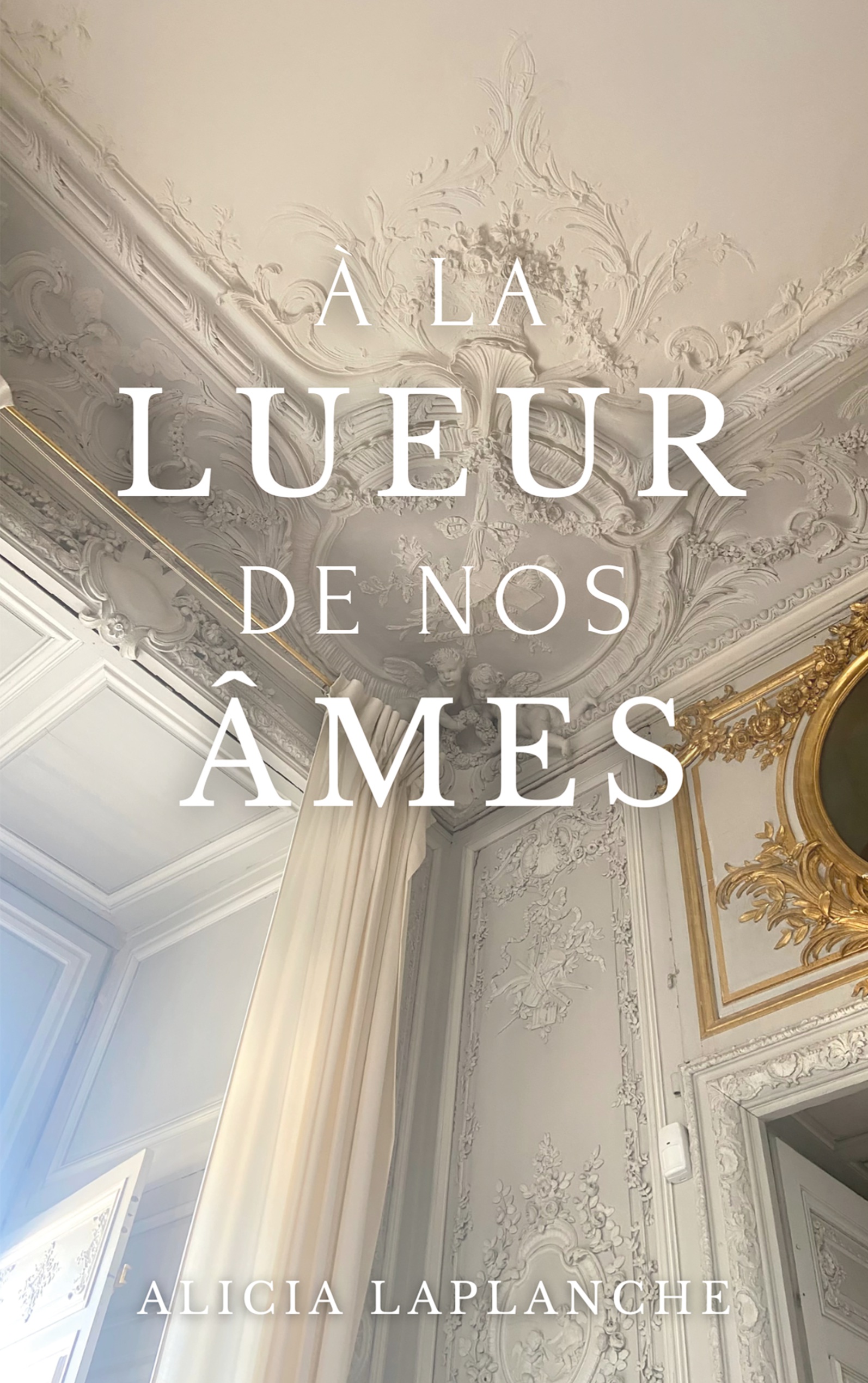 À la lueur de nos âmes - Alicia Laplanche - ebook - Legimi online
